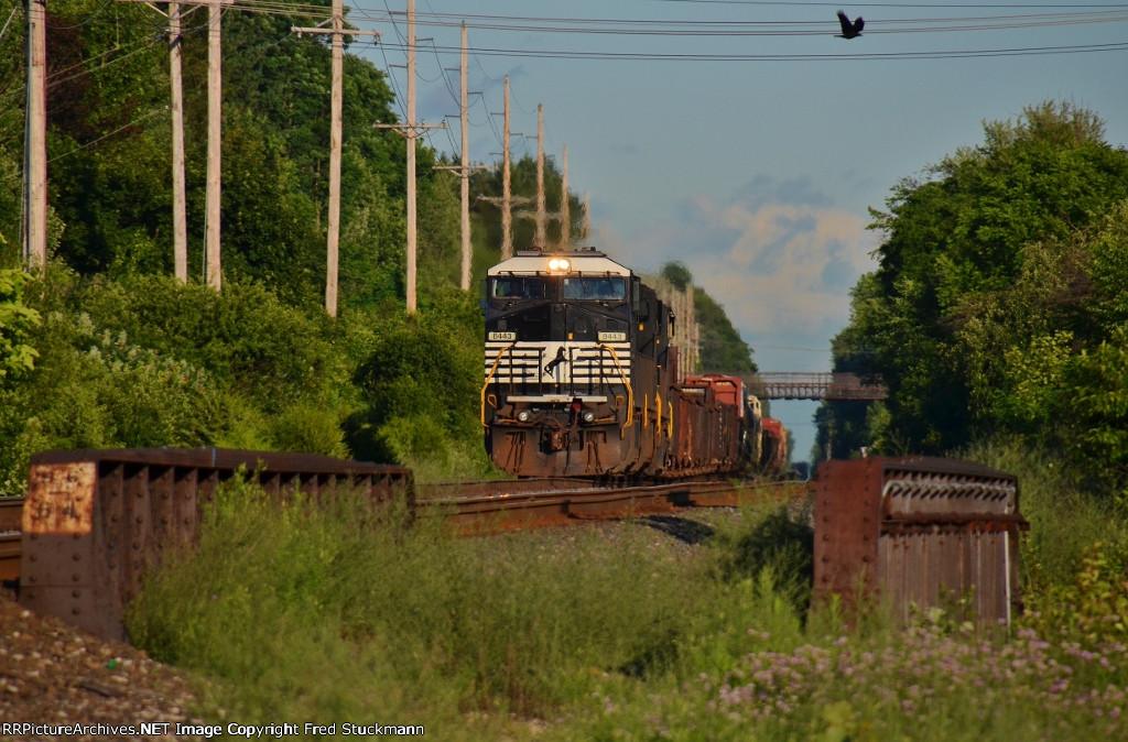 NS 8443 and the NS mascot.